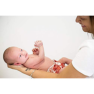 No Prep Cloth Diaper for Newborns – Smart Bottoms Born Smart 2.0 – Natural Fiber Interior (White)