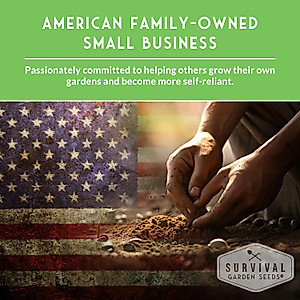 Survival Garden Seeds Zucchini & Squash Collection Seed Vault - Non-GMO Heirloom Seeds for Planting Vegetables - Assortment of Golden, Round, Grey, Black Beauty Zucchinis, Straight Neck Summer Squash