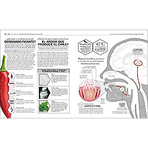 Cocinología (The Science of Cooking): La ciencia de cocinar (Spanish Edition)