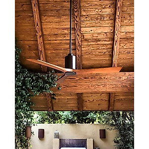 Matthews PA3-BRBR-WA-60 Patricia Indoor/Outdoor Damp Rated 60" Ceiling Fan with LED Light and Remote & Wall Control, 3 Walnut Solid Wood Blades, Brushed Brass