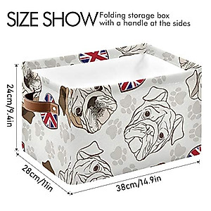 susiyo Large Foldable Storage Bin English Bulldog Fabric Storage Baskets Collapsible Decorative Baskets Organizing Basket Bin with PU Handles for Shelves Home Closet Bedroom Living Room-2Packs