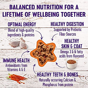 Wellness Chicken & Turkey Lovers Minced and Gravies Variety Pack, 3 oz (Pack of 24)