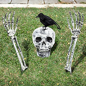 Skeleton Stakes with Crows - Scary Outdoor Halloween Yard Lawn Decorations, Groundbreakers for Skull Garden Graveyard Decor