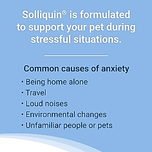Nutramax Solliquin Calming Behavioral Health Supplement for Small to Medium Dogs and Cats - With L-Theanine, Magnolia / Phellodendron, and Whey Protein Concentrate, 75 Soft Chews