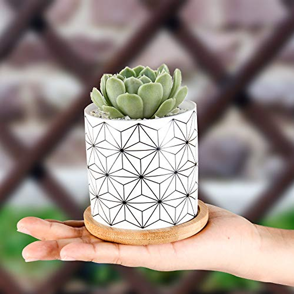 ZOUTOG Succulent Pots, 3 inch Ceramic Mini Succulent Planter Pot, Geometric Pattern Round Small Flower Pots with Drainage and Bamboo Tray, Pack of 6 - Plants Not Included