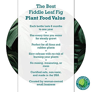 Fiddle Leaf Fig Tree Plant Food for Ficus Lyrata (and Ficus Audrey) – Calcium Fortified, Urea-Free and with NPK Ratio of 3-1-2 for Healthy Roots, Stems and Leaves (8 Ounces))