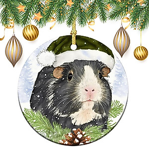 Customized Christmas Tree Decoration - Guinea Pig in Santa Hat, 3" Xmas Pet Present & Stocking Stuffer Gift