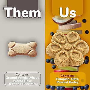 Fruitables Biggies Dog Biscuits – Crunchy Dog Biscuits Made with Pumpkin – Healthy Dog Treats Packed with Real Fruit Flavor – Free of Wheat, Corn and Soy – Peanut Butter & Banana – 16 oz