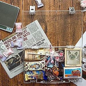 GIIYAA High Transparency Visible Plastic Box Clear Storage Case with Lid Use for Organizing Jewelry, Tools, Office supplies, Pet supplies, DIY materials,Use as handbags