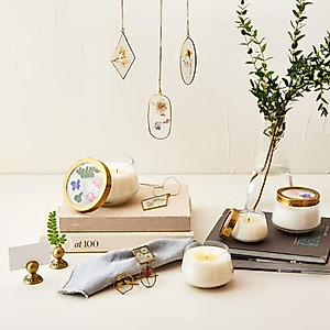 Pressed Floral Candle - Aromatherapy Candles, Long Lasting Candles, Luxury Candles, Luxury Candles Gifts (Sunlit Neroli, 21 oz)