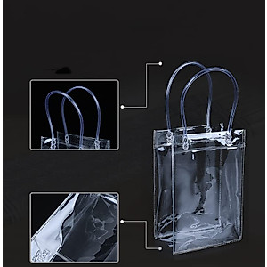Rikyo 12 pc Clear Gift Bags,Plastic Gift Bags with Handle and Button, Reusable Transparent PVC Gift Wrap Tote Bag for Bridal Party Favor, Baby Shower, Wedding Favor, Shopping Bag Bulk (10x8x3)