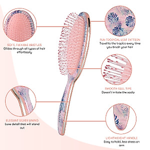 Framar Flowers Wet Detangler Brush – Brushes for Hair, Wet Dry Brush, Hair Detangler Brushes, Hairbrush for Women, Curly Hair Brush Detangler, Tangle Brush, Kids Brushes for Hair, Kids Hair Brush