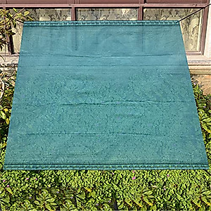 Alion Home 35% Sunblock DIY Shade Cloth - Garden Netting - Mesh Sun Shade Cover for Garden Patio Plants - Green (6' x 12')