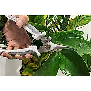 Yojii- Pruning Shears, Gardening Scissors, Pruning Shears, Natural Flower Scissors, Fruit Trees, Garden Trees, Bonsai Pruning Tools for Gardening, Farm Work, Home Gardening