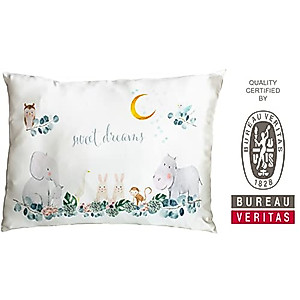 Silky Tales - Toddler Pillowcase 100% Silk - Kids Pillow Cover 13x18 (White with Light Pink and Blue)