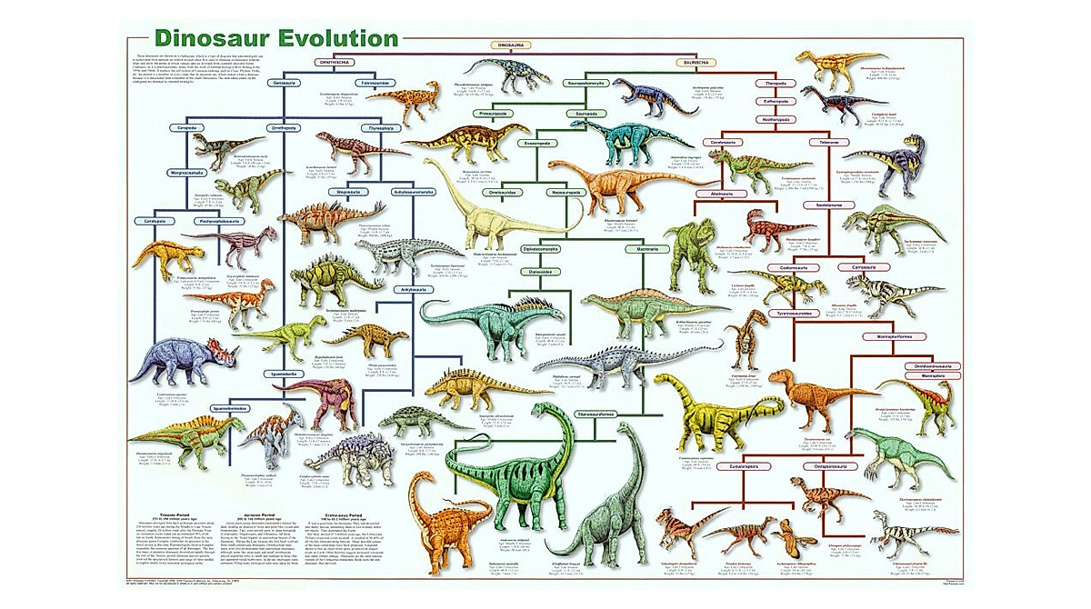 Dinosaur Evolution Science Chart Poster | Educational Wall Art