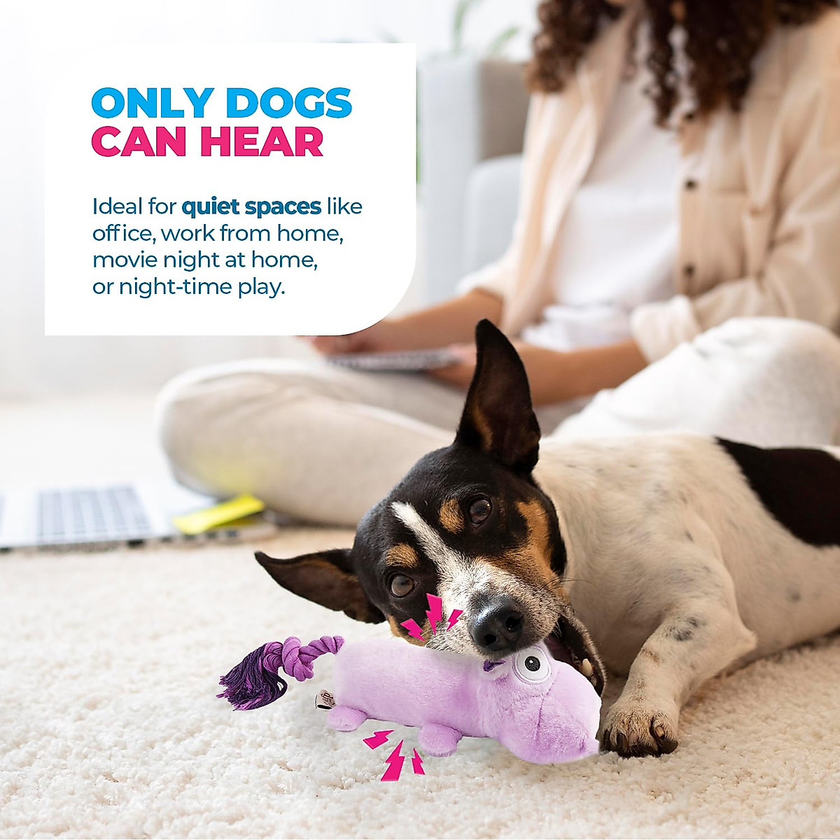 ALL FOR PAWS Ultrasonic Silent Squeaker Dog Toy, Quiet Puppy Toy Comfort Plush Toy Dog Cuddle Toys, Squeakerless Dog Toy with Cute Animal Designs, Ideal for Home and Office