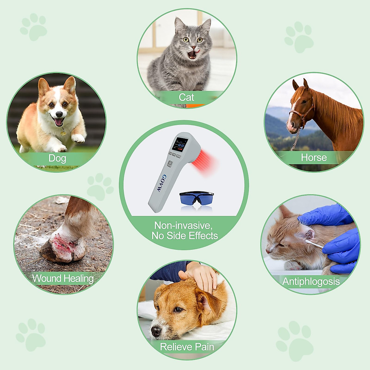 GOVW Laser Therapy for Dogs, 4x808nm+16x650nm, Cold Laser Therapy Device for Dogs Professional, Veterinary Laser Therapy Machine, Cold Laser Therapy Device for Horses, Laser Treatment for Animals