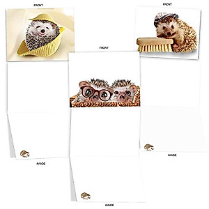 The Best Card Company - 10 Blank Animal Cards Boxed (4 x 5.12 Inch) - Assorted Pets, Zoo, Wildlife Cards for Kids - Cards from the Hedge M6541OCB