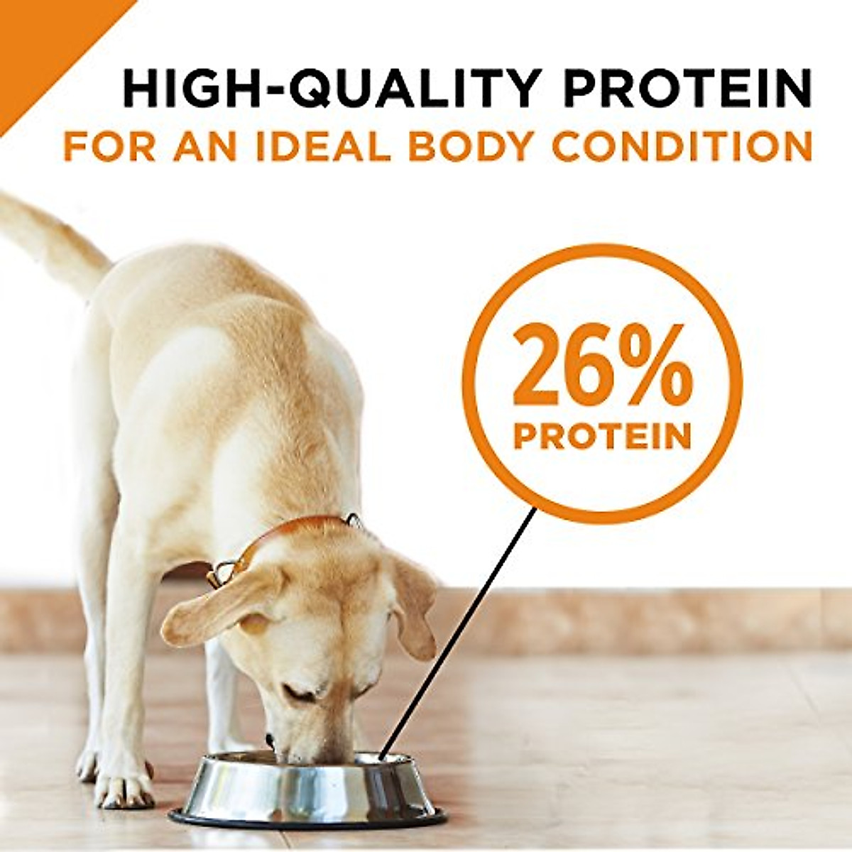 Purina Pro Plan With Probiotics Large Breed Dry Dog Food, Shredded Blend Chicken & Rice Formula - 18 lb. Bag