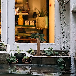 VOSAREA 2pcs Model Tree Mini Baobab Tree Train Scenery Architecture Trees Fake Trees Miniature Artificial Tree Fake Plants for DIY Crafts Supplies Zen Garden Sand Table