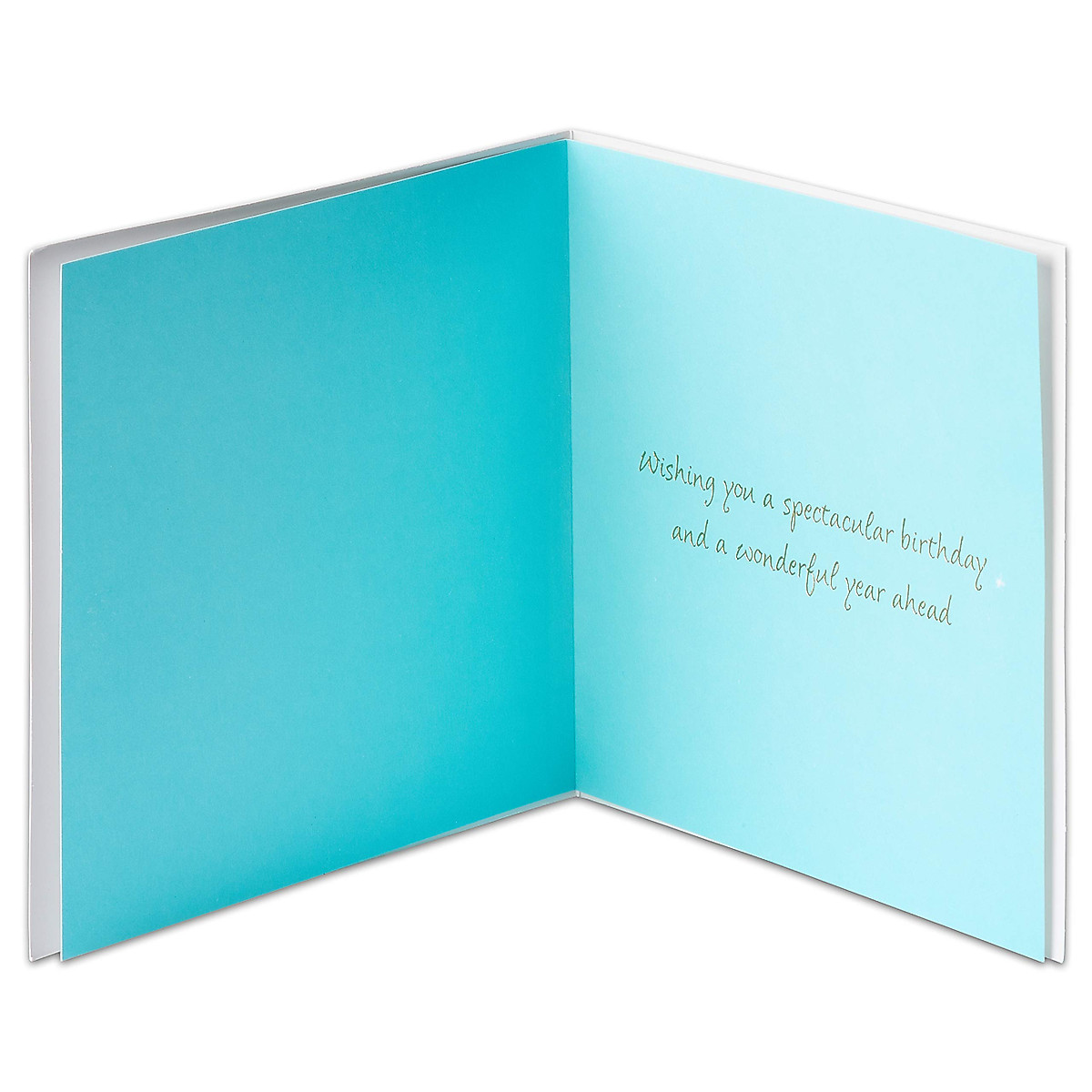 Papyrus Birthday Card (Spectacular Birthday)