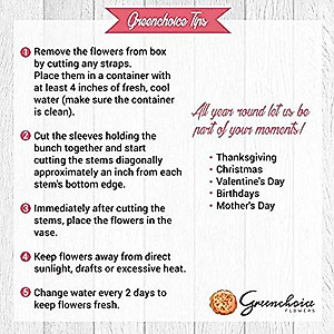 Fresh Cut 24 Yellow Roses - Fresh from the Farm Yellow Rose Bouquet – Hand-Selected Long-Lasting Gift and Home Decor Perfect Fresh Flowers |20" Long Stems No Vase-2 Dozen | Flowers Gift