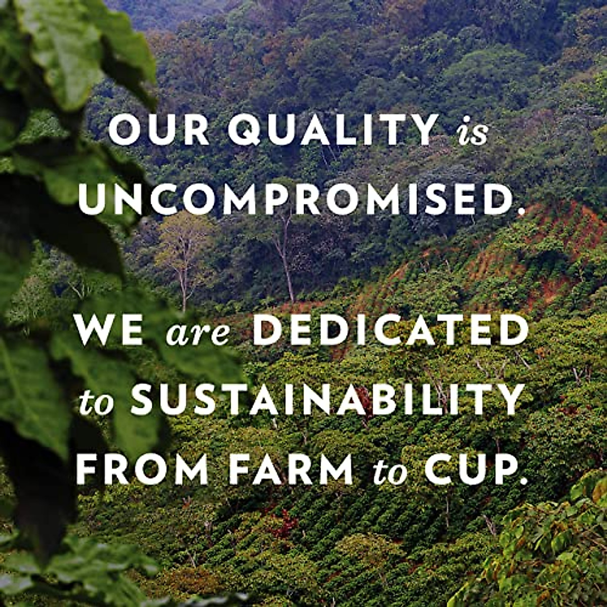 Community Coffee Toasted Hazelnut Flavored 12 Count Coffee Pods, Medium Roast, Compatible with Keurig 2.0 K-cup Brewers, 12 Count (Pack of 1)