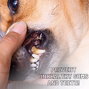 SYLVR SUPPORT- Colloidal Silver & Spearmint Teeth & Gum Spray for Dogs & Cats & Pets, Target Bad Breath, Clean Ingredient Pet Oral Care Solution (4 oz.)