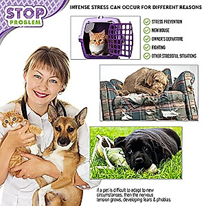 Beloved Pets Calming Pheromone Spray & Scratch Repellent for Cats - Reduce Scratching Furniture, Pee - During Travel, Fireworks, Thunder, Vet Zone - Helps to Relief Stress, Fighting, Hiding