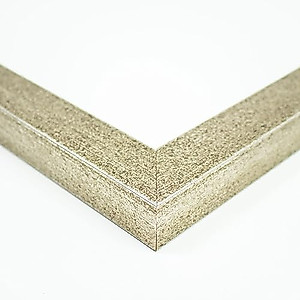 12x14 Frame Silver Solid Wood Picture Frame Width 1.25 Inches | Interior Frame Depth 0.75 Inches | Akilah Contemporary Photo Frame Complete with UV Acrylic, Foam Board Backing& Hanging Hardware