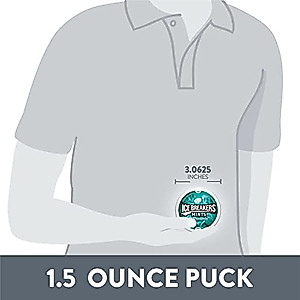 ICE BREAKERS Wintergreen Sugar Free Breath Mints Tins, 1.5 oz (8 Count)