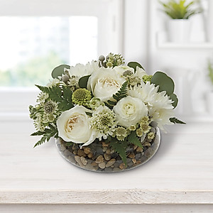 FloraCraft Floral Artesia WetFōM Brick 2.8 Inch x 3.8 Inch x 8.8 Inch Green