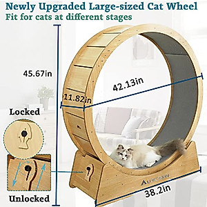Lokshun Cat Wheel,Cat Exercise Wheel with Lock Pin,Great Weight-Loss Cat Wheel with Carpeted Runway,Large-Sized Cat Exercise Wheel with Noiseless Rollers,42in Large,Cat Teaser Stick Included