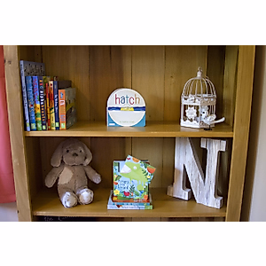 Bendon Piggy Toes Press Under Construction Interactive Storybook 25648