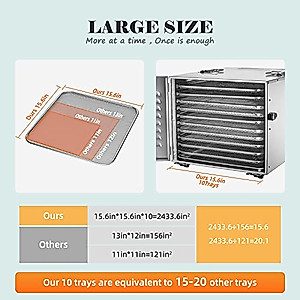 Septree Food Dehydrator for Jerky, Meat, Fruit, Beef, Herbs, and Pet Food, 10 Trays Stainless Steel Commercial Dryer Machine, 1000W, Adjustable Timer, Digital Temperature Control, Over Heat Protection, Silver
