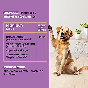 Special Breed Yeast Infection Treatment for Dogs - Soothing Itch Relief, Ear Infection Treatment, Reduces Irritation & Inflammation, 2 oz