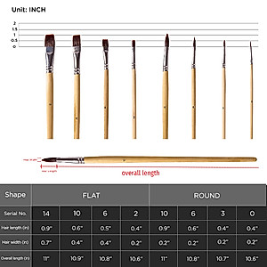 OOKU 8PCS Paint Brush Set, Watercolor Paint Brushes for Kids Adults | Round Flat Paint Brushes for Acrylic Painting, Artist Paint Brushes | Nylon Bristles for Oil Gouache Acrylic Paint Brushes