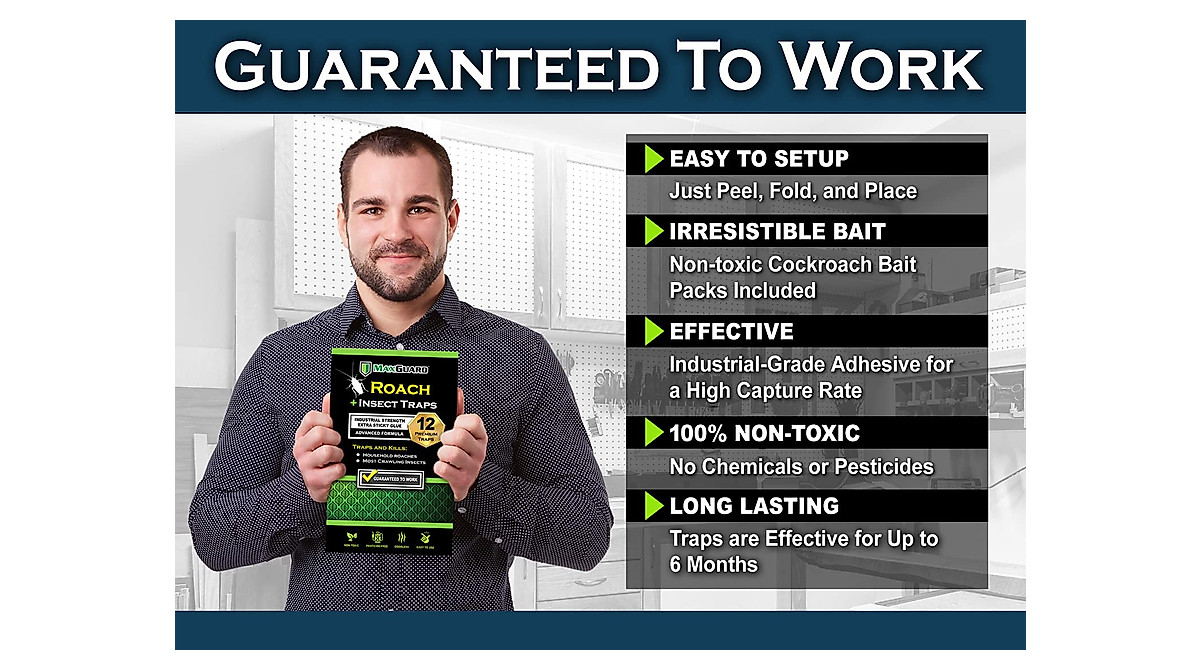 MaxGuard Roach + Spider Traps (12 Box Traps) | Non-Toxic Extra Sticky ...