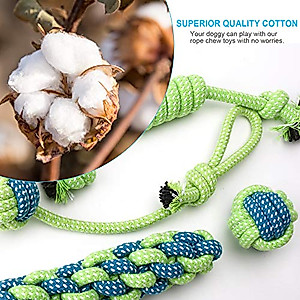 Depets 4PCS Dog Rope Toy, Assorted Pet Rope Chew Toys, Durable Rope Knot Dog Toy, Puppy Teething Playing Toys for Small Dogs Puppies