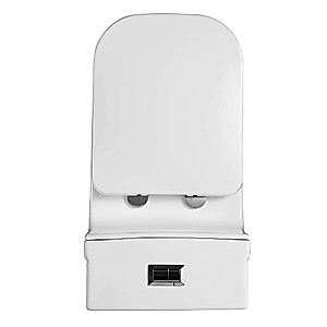Fine Fixtures Dual-Flush Elongated One-Piece Toilet with High Efficiency Flush