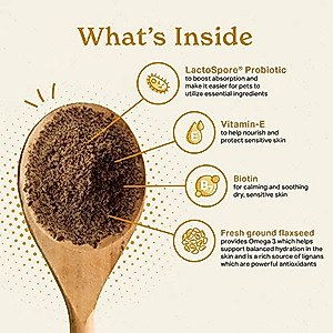 The Missing Link Skin & Coat Probiotics Superfood Supplement Powder for Dogs - Omegas 3 & 6, Fiber, Vitamin-E, Biotin - Supports Healthy Skin & Glossy Coat, Promotes Hair Growth - 1lb