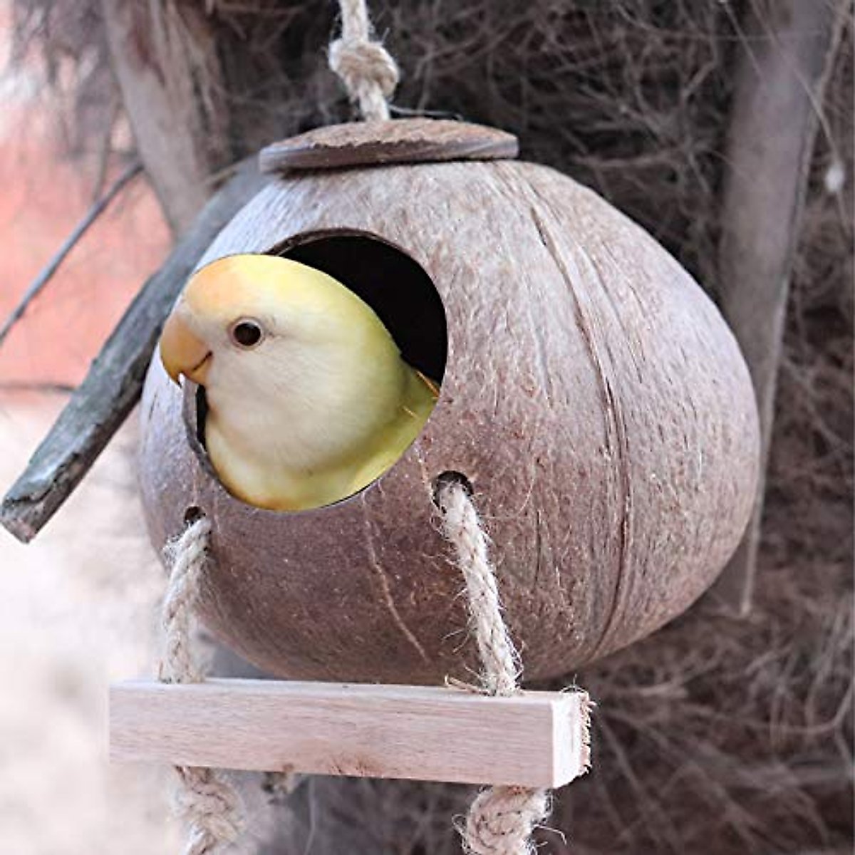 Gecko Coconut Husk Hut, Bird Hut Nesting House Hideouts with Ladder, Coco Texture Provide Food, Durable Cave Habitat with Hanging Loop for Leopard Gecko, Reptiles, Amphibians and Small Animals