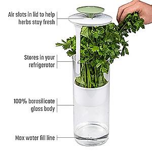Goodful Herb Keeper Preserver, Designed for Optimum Breathable Airflow for Maximum Freshness, Water Line Ensures the Use of the Right Amount of Water, Stores in your Refrigerator