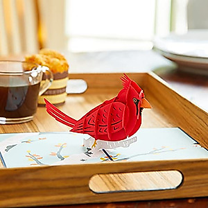 Lovepop Cardinal Pop Up Card, 5x7-3D Greeting Card, Animal Card for Every Occasion - Birthday, Sympathy, Anniversary, Thinking of You