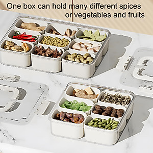 Divided Veggie Tray with Lid and Handle 9 Compartment Serving Tray with Dividers Portable Travel Snack Containers Stackable Snackle Box Charcuterie Container for Fruit,Vegetable,Salad (9 Containers)