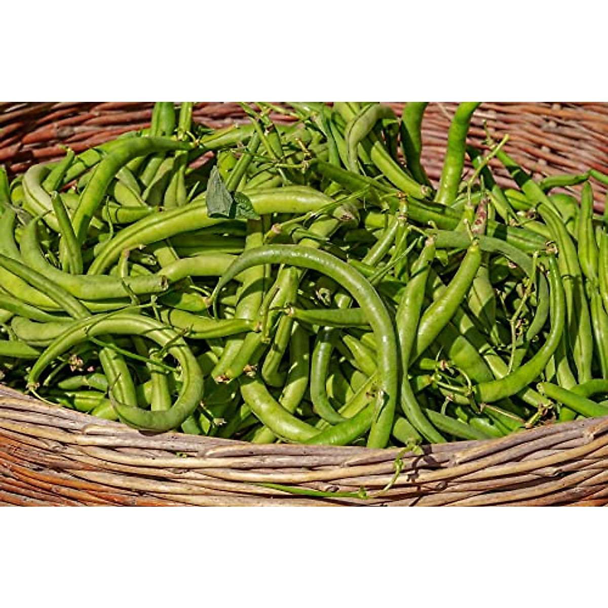 Set of 25 Premium Vegetable & Herb Seeds - 25 Deluxe Variety Premium Vegetable & Herb Garden 100% Non-GMO Heirloom