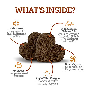 Vetality Well Chews | Soft Chew Supplements for Dogs | 60 Count | Made in USA (Skin + Coat)