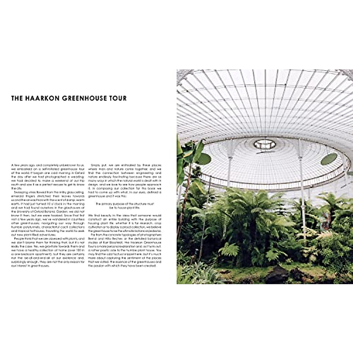 Glasshouse Greenhouse: Haarkon's world tour of amazing botanical spaces