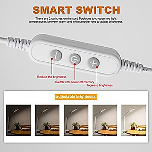 Eye Caring Desk Lamp with Clamp,Full Spectrum Eye Protection LED Clip on Desk Lamp,Dimmable Bright 8W Book Light for Reading in Bed,Daylight USB Powered Adjustable Gooseneck Small Desk Lamp for Dorm